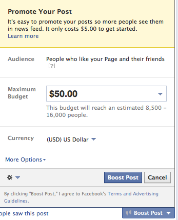 How to Successfully Use Promoted Posts on Facebook